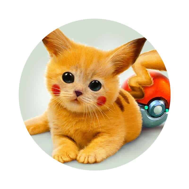 Pokemon Pikachu cat 19 cm, sukkerprint / kageprint med tekst - CakePrint.dk